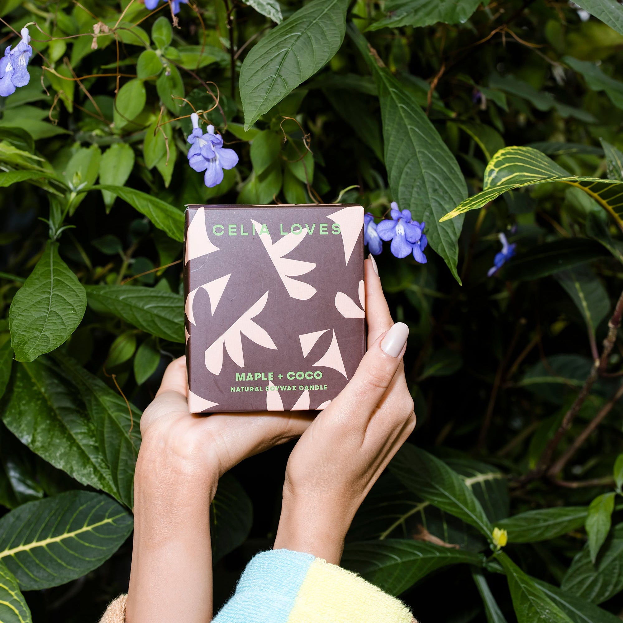 Maple & Coco 395gms – Celia Loves