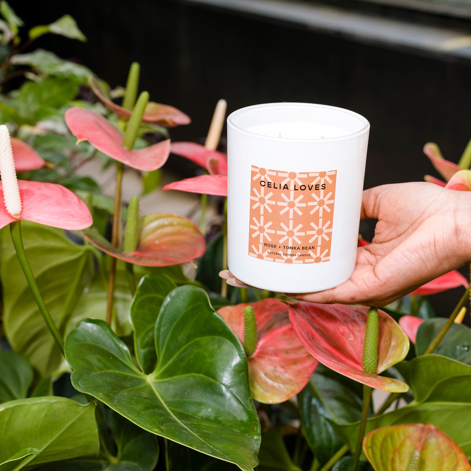 Rose & Tonka Bean 395gms – Celia Loves